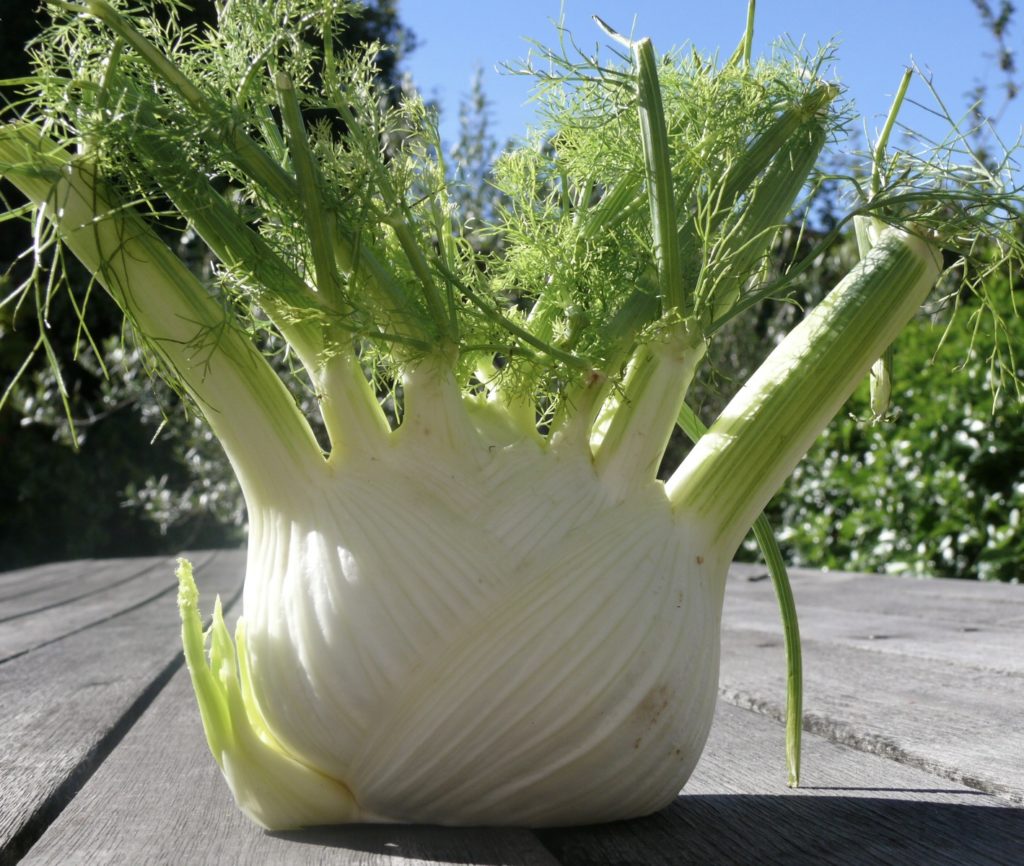 Lemon Fresh Fennel Gratin | Fresh Kitchen