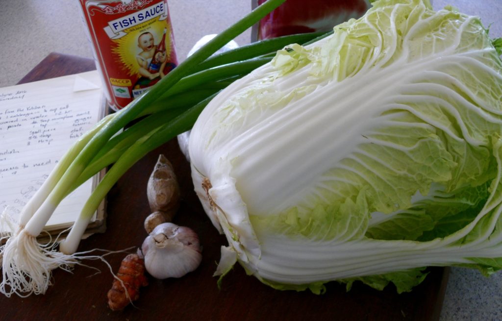 Kimchi Everyday | Fresh Kitchen